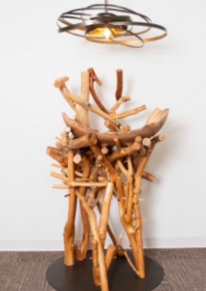 Nest And Saturn - West Cancer Center