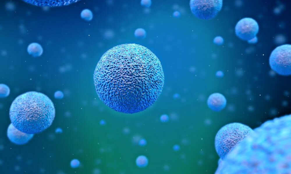 Benign Blood Disorders - West Cancer Center